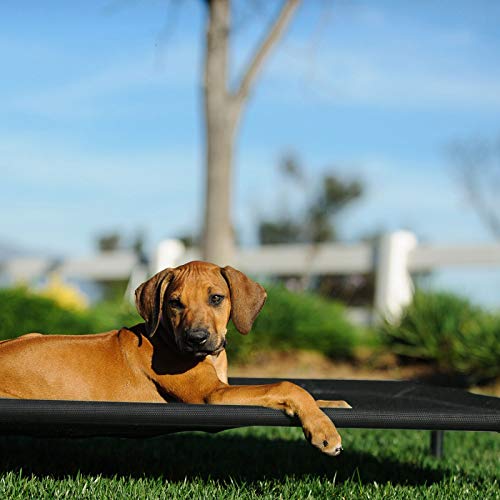 Veehoo Cooling Elevated Dog Bed, Portable Raised Pet Cot with Washable & Breathable Mesh, No-Slip Rubber Feet for Indoor & Outdoor Use, Large, Black