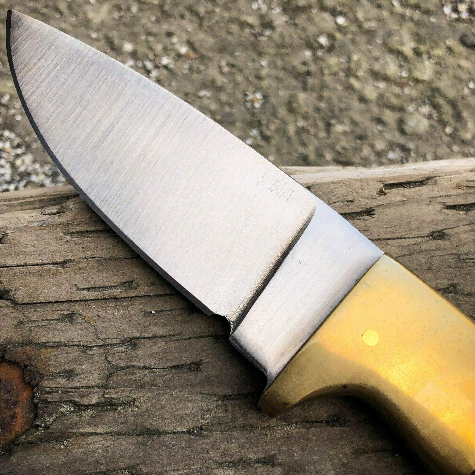8" Clip Point Skinner Hunting Survival Skinning Fixed Blade Knife Full Tang Wood