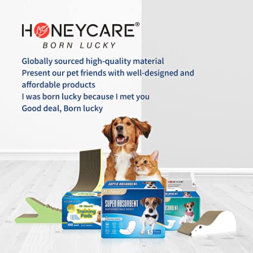 HONEY CARE All-Absorb, Large 22" x 23", 100 Count, Dog and Puppy Training Pads, Ultra Absorbent and Odor Eliminating, Leak-Proof 5-Layer Potty Training Pads with Quick-Dry Surface, Blue, A01