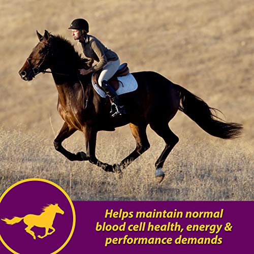 Horse Health Red Cell, Liquid Vitamin-Iron-Mineral Supplement for Horses, Helps Fill Important Nutritional Gaps in Horse's Diet, 1 Qt., 32 Oz., 16-Day Supply