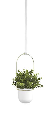 Umbra 1011748-524 Triflora Hanging Planters for Indoor Plants or Herbs, White/Brass,42" Width