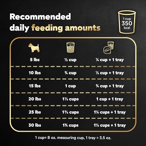 CESAR Adult Small Breed Dry Dog Food, Filet Mignon Flavor with Spring Vegetables Garnish, 5 lb. Bag