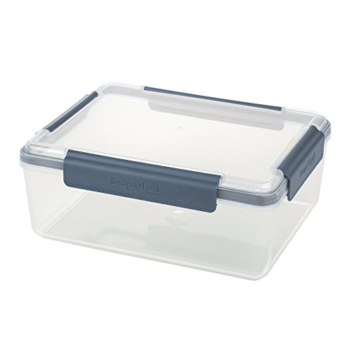 SnapLock by Progressive 20-Cup Container - Gray, Easy-To-Open, Leak-Proof Silicone Seal, Snap-Off Lid, Stackable, BPA FREE