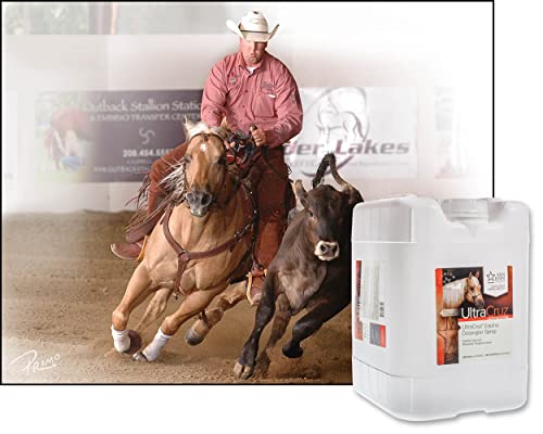 UltraCruz Equine Detangler Spray for Horses, 5 Gallon Refill