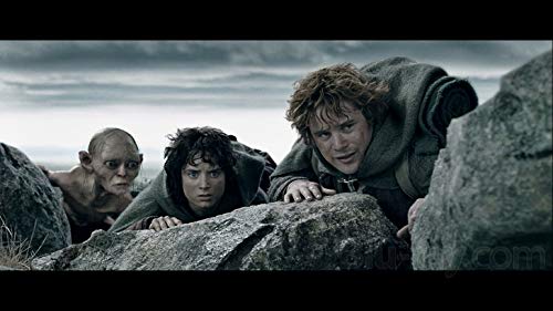 The Lord of the Rings Trilogy (Special Extended Edition) DVD Box Sets (12 DVDs)