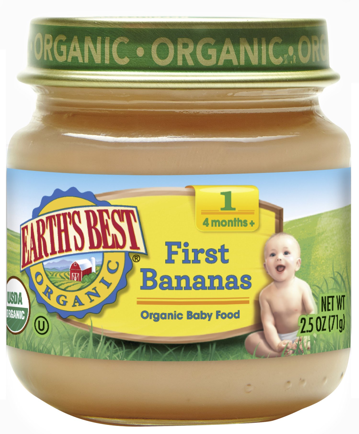 Earth's Best Organic Stage 1 Baby Food, First Bananas, 2.5 oz. Jar
