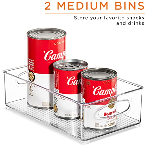 Sorbus Storage Bins Clear Plastic Organizer Container Holders with Handles β Versatile for Kitchen, Refrigerator, Cleaning Supplies, Cabinet, Food Pantry, Bathroom Organization (Set of 10, Clear)