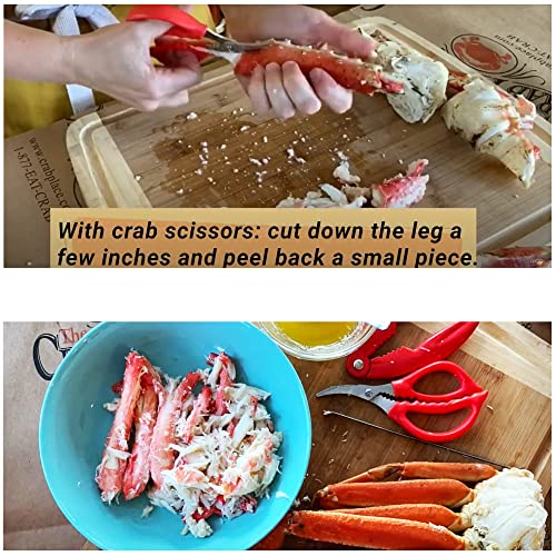 Multi-Function Kitchen Shears Seafood Scissors for Kitchen Seafood,Fish,Crab,Shrimp,Lobster,Vegetable picking,flower art etc