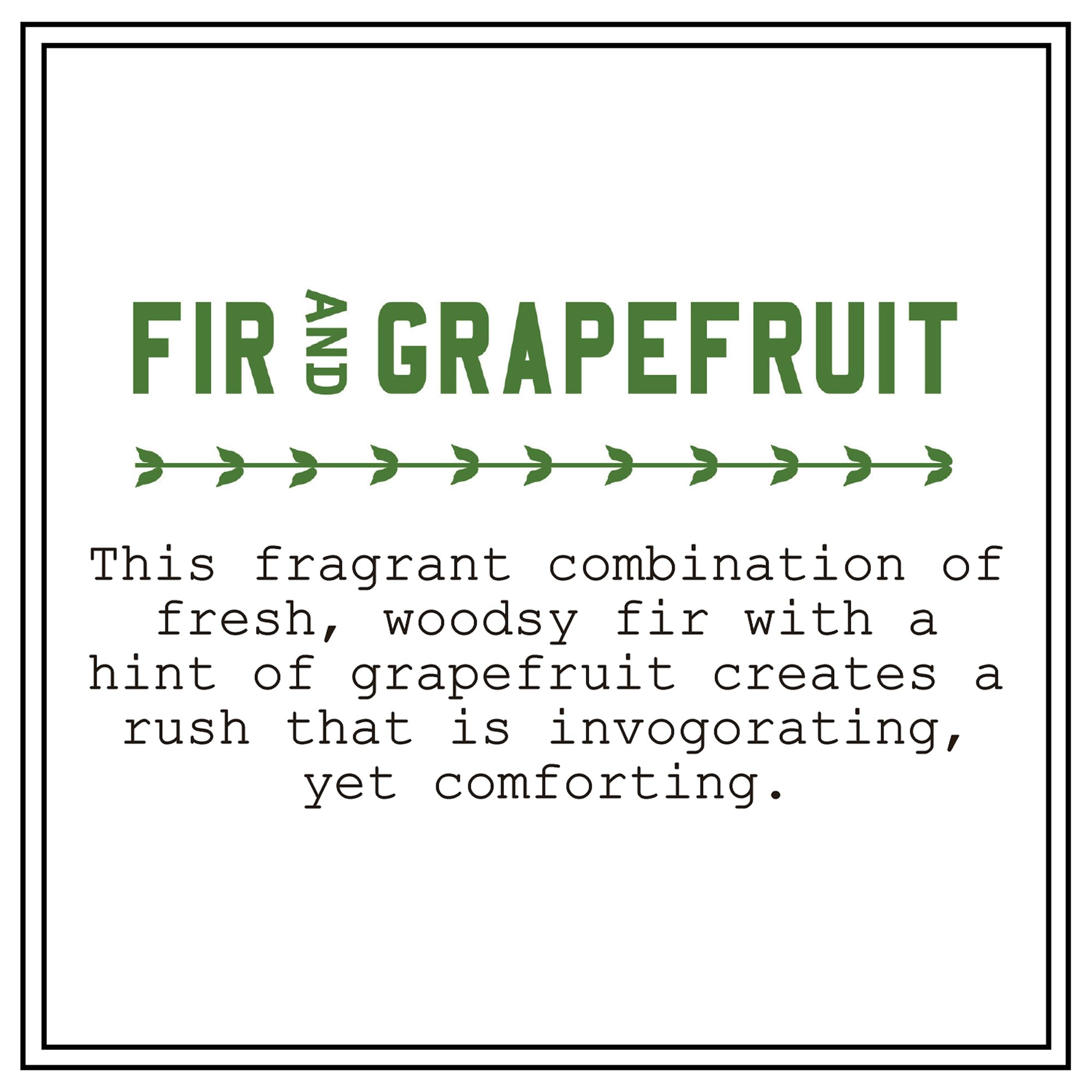 Barr-Co. Fir & Grapefruit Apothecary Jar Candle, Bright Woody Citrus, 100% Vegetable & Soy Wax Candles for Home, 120-Hour Burn Time, Clean Burning Candles, 20 oz