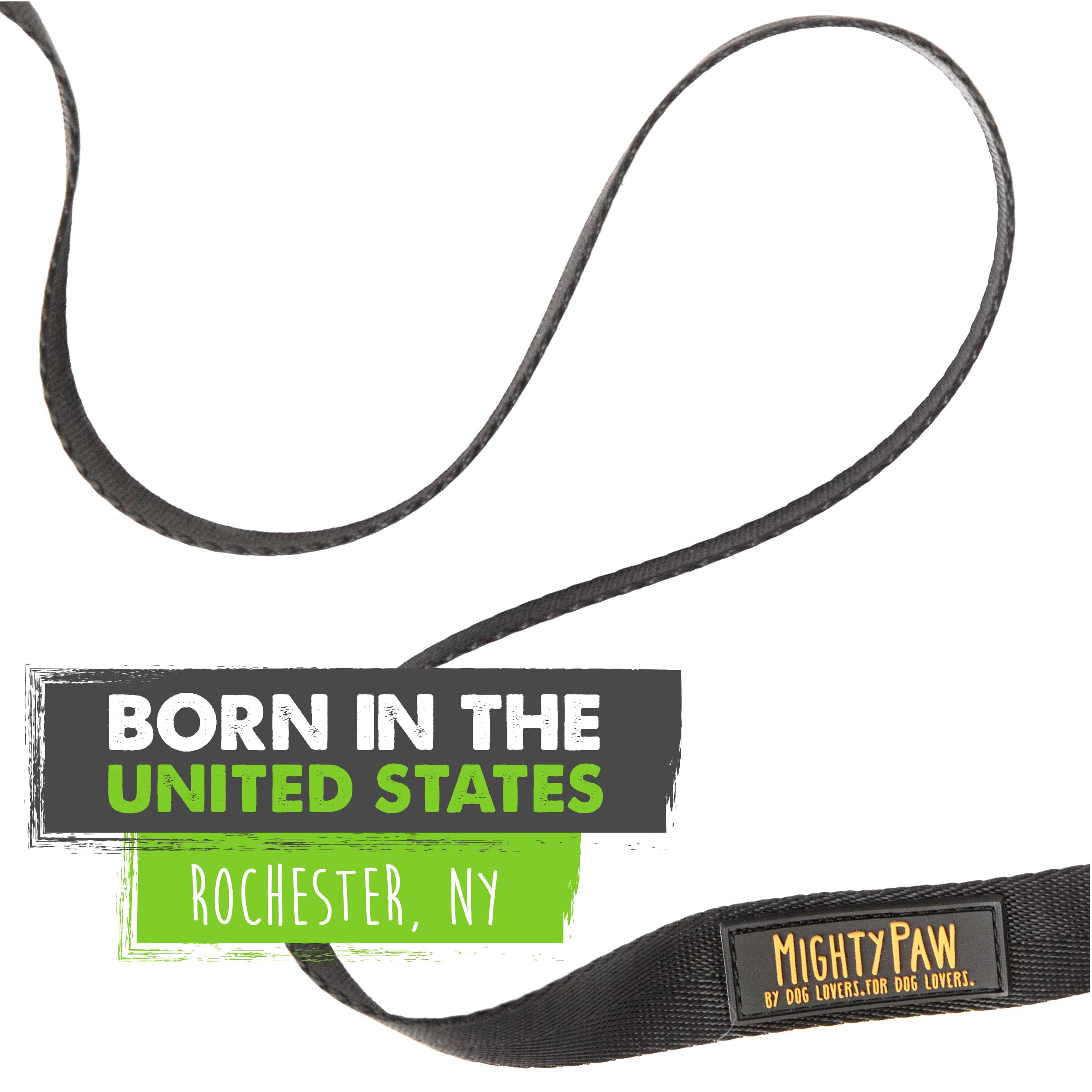 Mighty Paw Long Dog Leash | Pet Lead for Off-Leash Recall Training. Premium Quality Nylon Tie Out , Includes a Buckled Padded Handle. Great for Yard, Camping and Training. (15 Feet, Black)