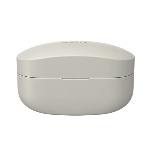 Sony WF-1000XM4 Replacement OEM Charging Case (Silver)