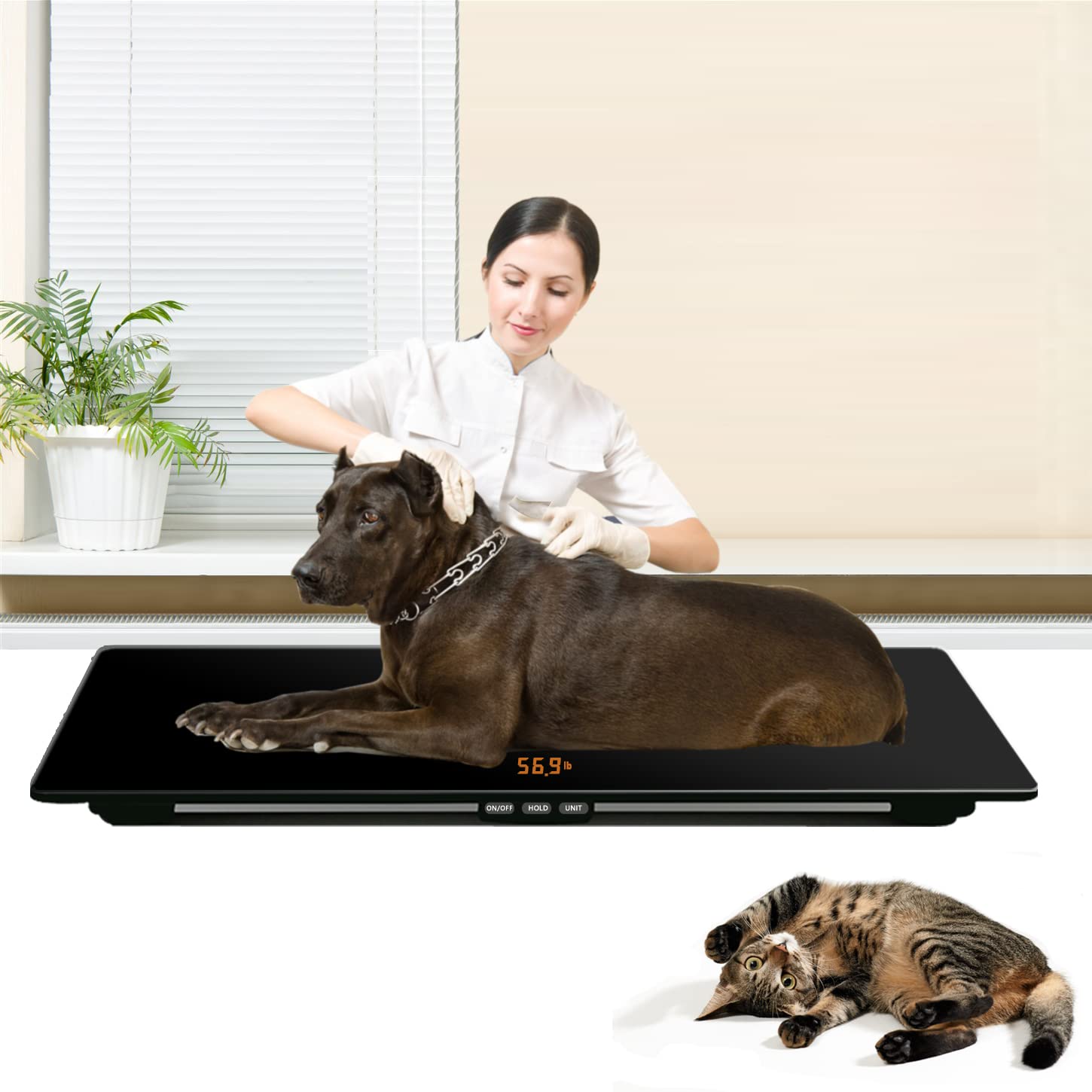 Large Breed Dog Weight Scale, Max Capacity 220 lbs, Surface, Easy Read LCD, Tempered Glass Platform, Includes Comfort Cushion, Ideal for Families and Veterinary Offices, XL(31.5inches)