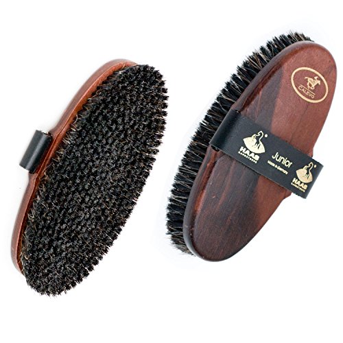Haas - Junior Brush