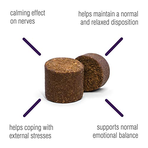 VetIQ Calming Support Supplement for Dogs, Anxiety Supplement Soft Chews,1 Count (Pack of 90)