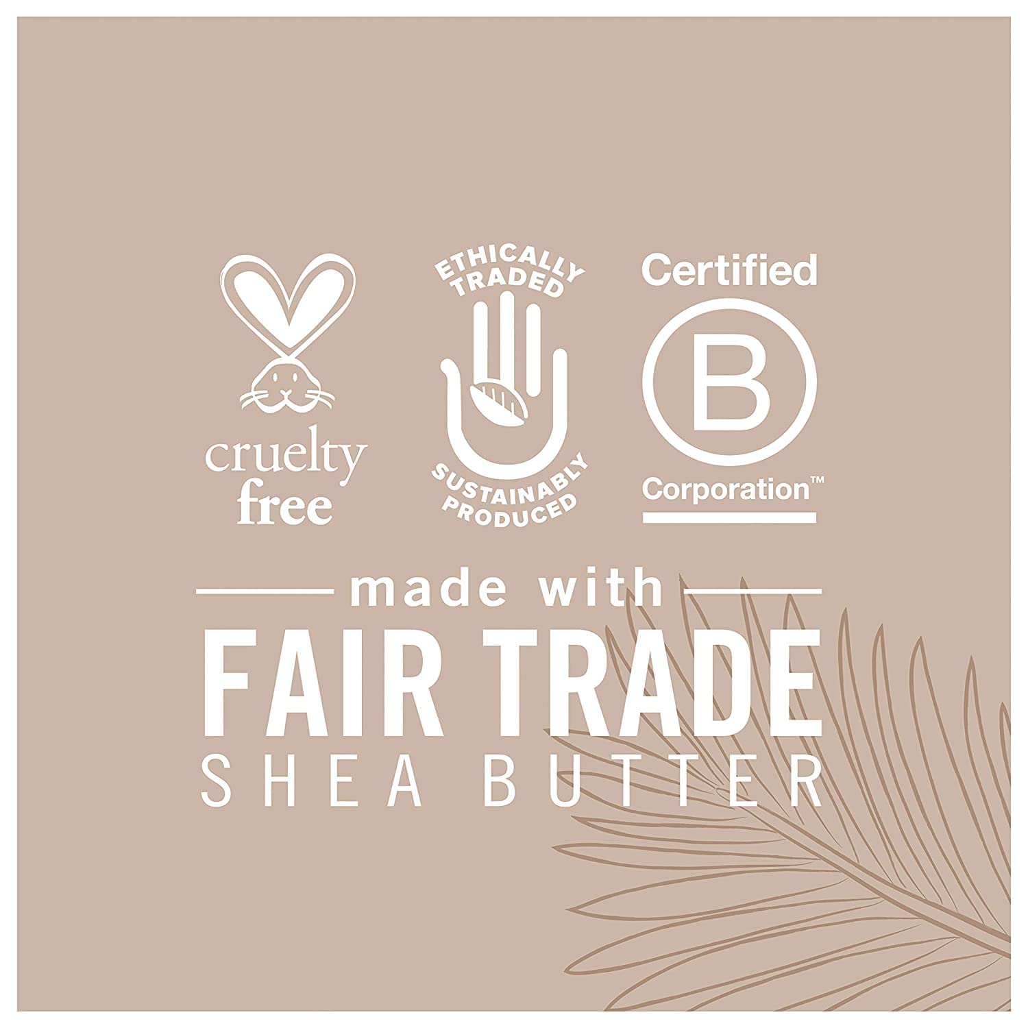 Shea Moisture 100 Percent Virgin Coconut Oil Daily Hydration Styling Gel for Unisex, 8 Ounce (Packaging may vary)