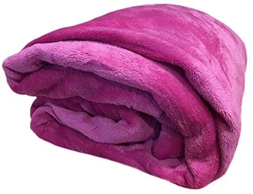 Home Must Haves Solid Hot Pink Affordable Bed Blanket Bedding Throw Fleece Super Soft Warm (Queen), (Hot Pink Blanket 1)