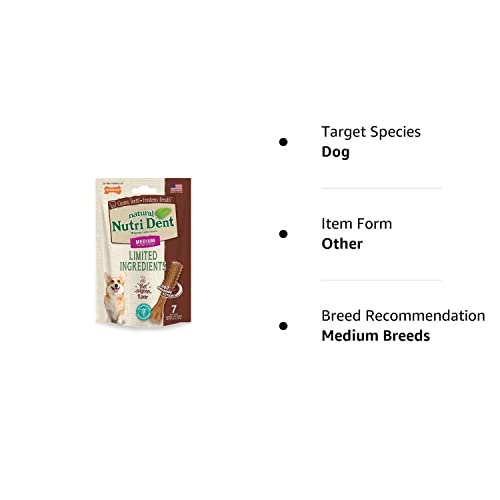 Nylabone Nutri Dent Filet Mignon Flavored Dog Dental Chews 7 Medium 3.75" Treats for Dogs 15-30 lbs.