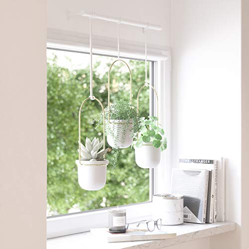 Umbra 1011748-524 Triflora Hanging Planters for Indoor Plants or Herbs, White/Brass,42" Width