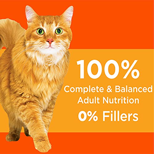 IAMS PROACTIVE HEALTH Adult Healthy Dry Cat Food with Chicken Cat Kibble, 7 lb. Bag