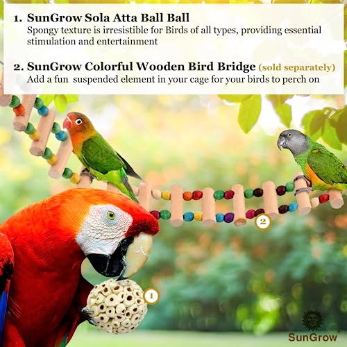 SunGrow Sola Atta Foraging Balls, 2β, White Soft Shred Parrot Chews, Bird Chewing Accessories for Conure, Budgie, Parakeet, Cockatiel, Rabbits, Hamsters, and Other Small Pets, 3 Pcs/Pack