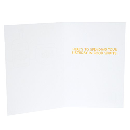 Hallmark Shoebox Funny Birthday Card (Vodka Goldfish)