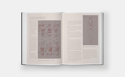 Basic Human Anatomy: An Essential Visual Guide for Artists