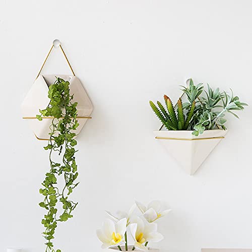 Svaitend Screw-On Solid Wood Hook Coat Hook Towel Hook Shaker Pegs for Bathroom Livingroom Garden 10 Pieces (White Paint)