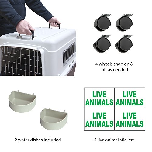 SportPet Designs Plastic Kennels Rolling Plastic Wire Door Travel Dog Crate- Large Kennel, Gray
