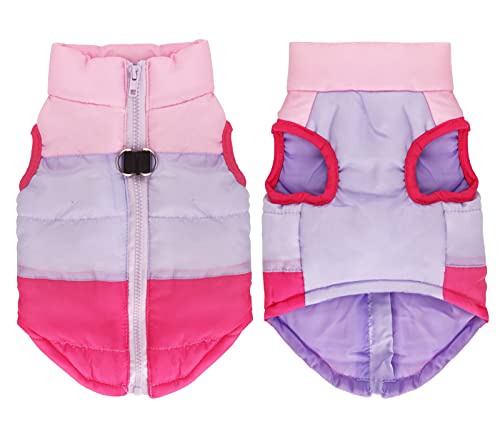 Idepet Pet Dog Cat Coat with Leash Anchor Color Patchwork Padded Puppy Vest Jacket Teddy Chihuahua Costumes Pug Cloth XS S M L (Small, Rose Red)