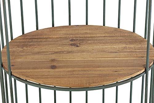 IMAX 47489 Charlotte Birdcage Shelf
