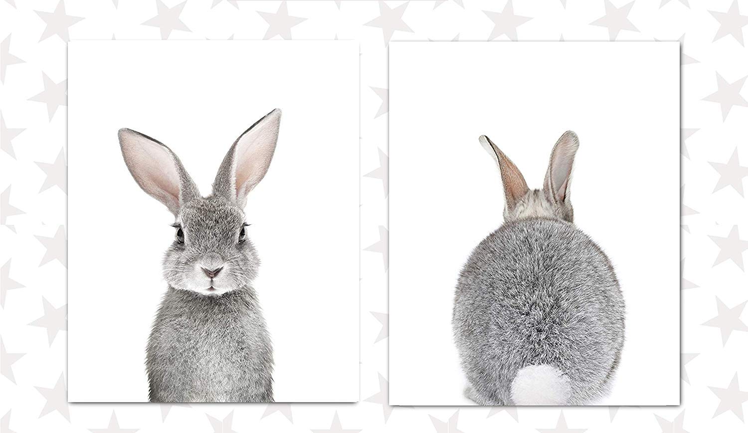 Designs by Maria Inc. Baby Nursery Wall Decor Art - Set of 2 (UNFRAMED) Wall Artwork 8x10 Baby Bunny Front and Back Photographic Print