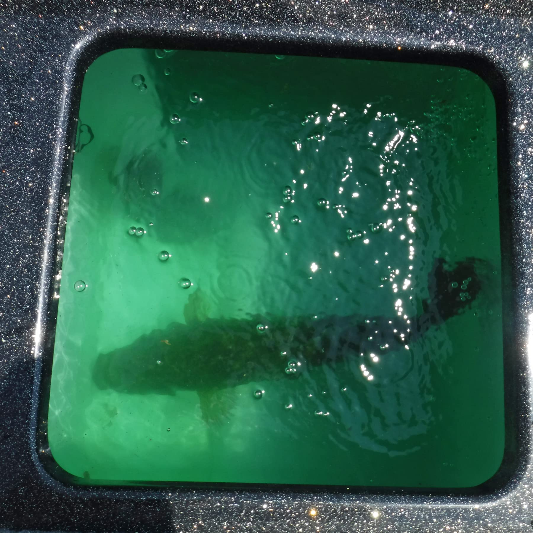 G-Juice Freshwater Fish Care
