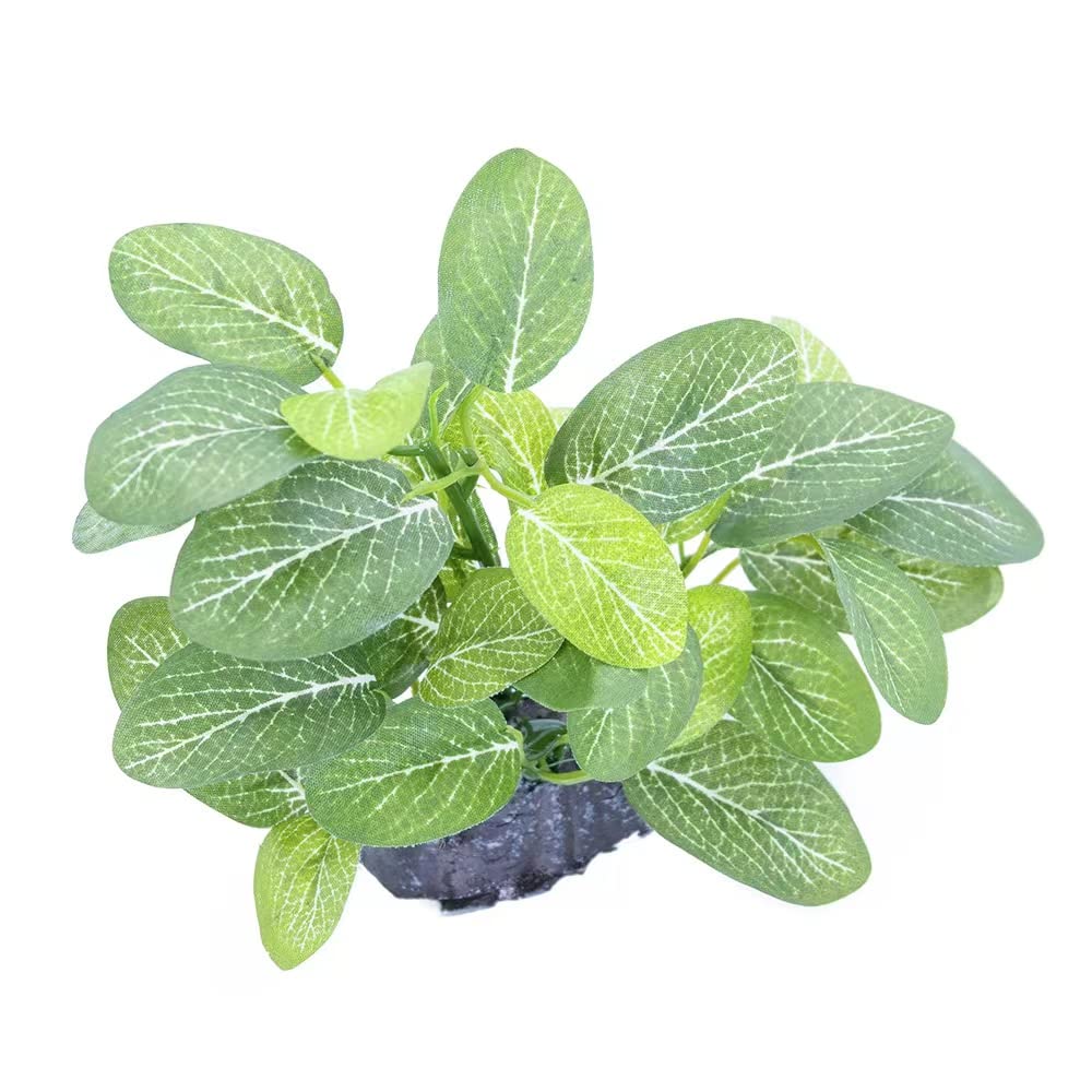 MRTIOO Reptile Artificial Plants, Terrarium Plants Decorations Supplies, Amphibian Habitat Hideout Tank Accessories, Rainforest Ground Plant (H)