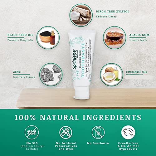 SprinJene Natural Fluoride Free Toothpaste for Clean and Strong Teeth and Gums, Fresh Breath, and Helps Dry Mouth - Vegan, Dye-Free, SLS Free Toothpaste for Adults 2 Pack (Original)