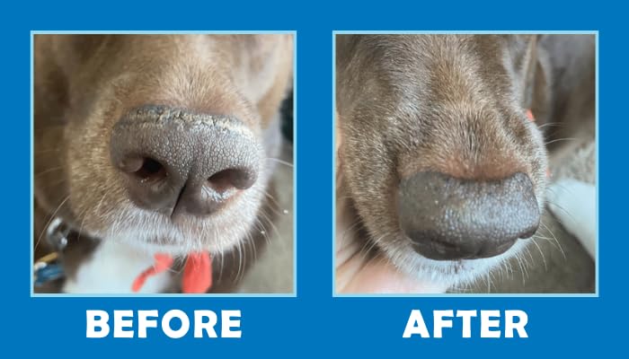 Squishface Nose Balm - Soothe & Protect Dry, Cracked Dog Snouts - Plant-Based, Lick-Safe Formulation to Aid in Relief of Hyperkeratosis - Great for All Breeds! (1.75 oz)