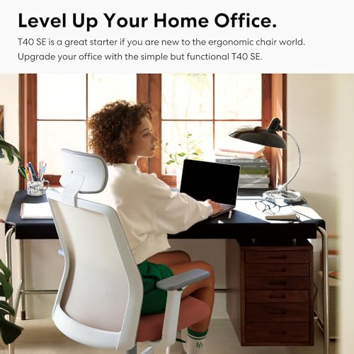 SIDIZ T40 SE Ergonomic Office Chair : Comfortable Home Office Chair for Light Users with Reclining Tilt Lock, Headrest, 3D Armrests, Mesh Back Computer Desk Chair, Alternative Gaming Chair (Gray)