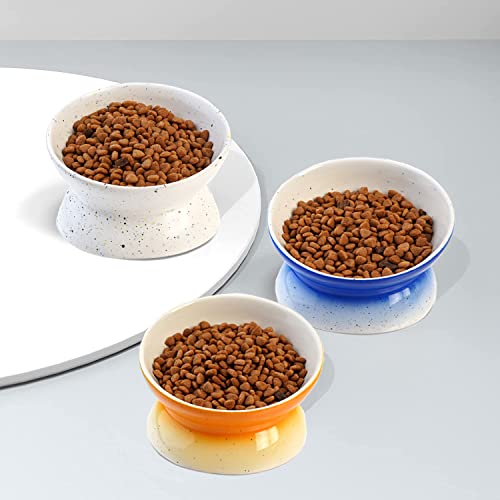 Elevated Cat Bowls Whisker Fatigue,Tilted Raised Cat Food Bowls,Ceramic Cat Bowl Whisker Friendly for Flat Faced Cats and Small Dogs,Anti-Vomiting and Reduce Neck Burden,Dishwasher and Microwave Safe