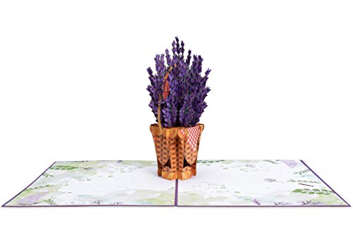 Paper Love 3D Pop Up Card, Lavender Basket, For Mothers Day, Valentines Day, Birthday, All Occasions - 5" x 7" Cover - Includes Envelope and Note Tag