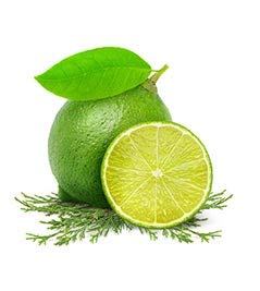 Fruits & Passion [Cucina - Lime Zest and Cypress Tree Liquid Hand Soap Refill, Kitchen Hand Soap Refill, Vegan & Cruelty-Free, All Natural Moisturizing Hand Wash Refill (33.8 fl oz)