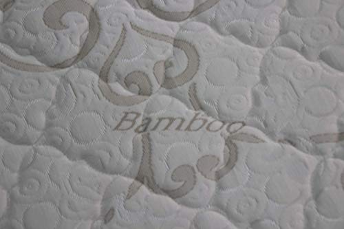 Parklane Mattresses Traveler 6 Inch Foam RV/Camper/Trailer Mattress (Short Queen - 60"x75")