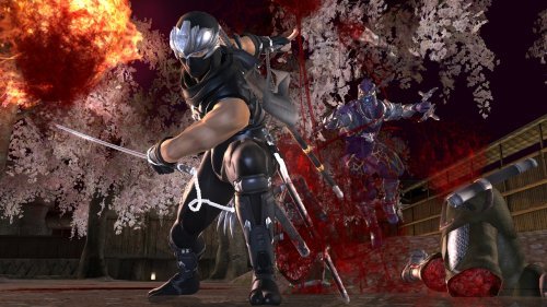 Ninja Gaiden II (Renewed)
