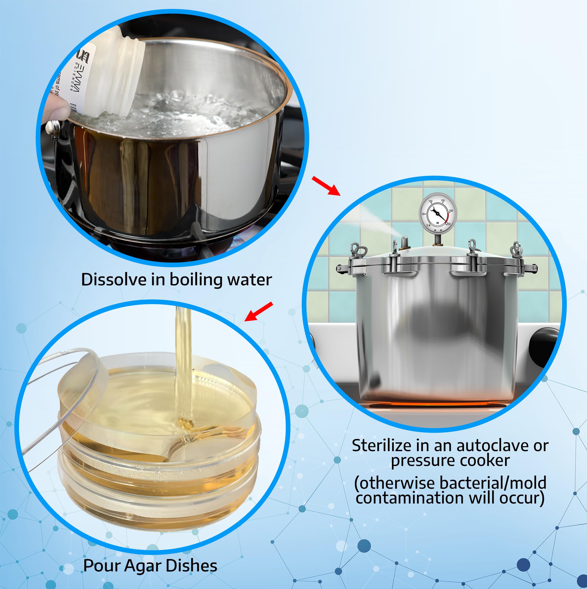 Nutrient Agar Powder 100 Grams - Evviva Sciences - Makes Over 150 to 200 Agar Petri Dishes - Easy to Use - Great Science Fair Projects - W/Experiment Ebook