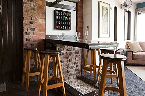 Gallery Solutions 18x16 Shot Glass Hinged Front Display Case, 18" x 16", Black