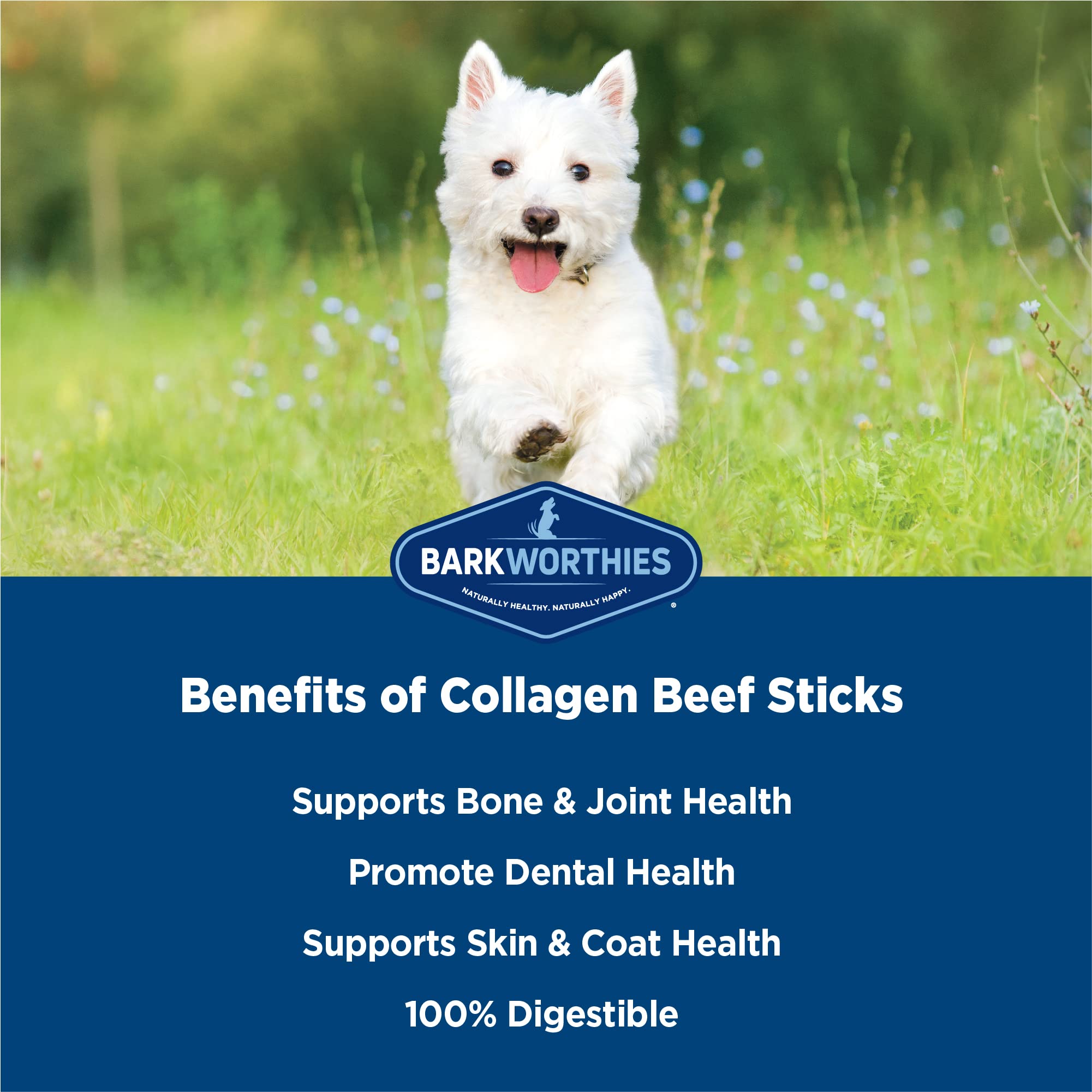 Barkworthies Chicken Wrapped Collagen Sticks Dog Treats (6-Inch, 3-Count)