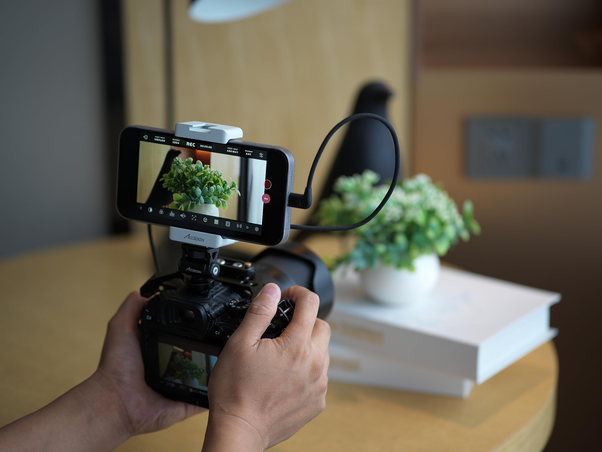 Accsoon SeeMo 1080p HDMI Capture Card for iOS - Use Your iPhone and iPad as Camera Monitors for Professional Monitoring, Recording, and Live Streaming