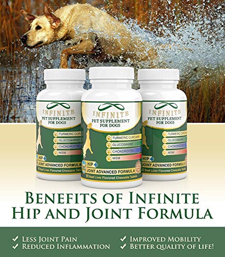 IPL Advanced Hip & Joint Formula - 90 Mobility & Pain Relief Dog Chews - Glucosamine, Chondroitin, MSM, & Turmeric for Superior Joint Health