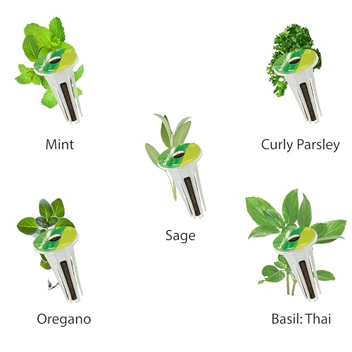 AeroGarden Custom Herb Seed pod Kit, Choose Your Own Herb Seeds to Create Your Own AeroGarden Herb Garden, 6-Pod