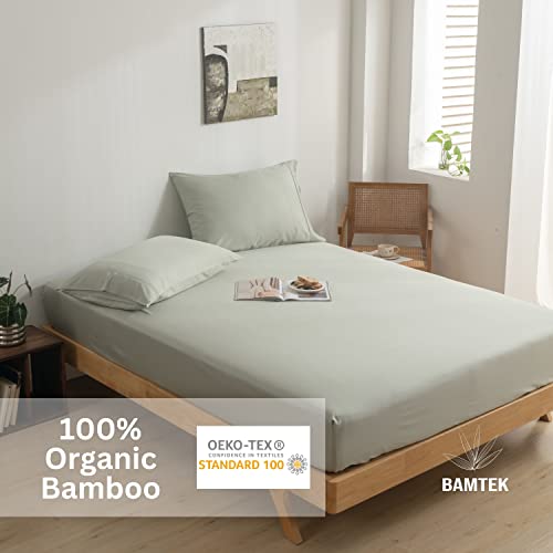 Bamtek 100% Viscose Bamboo Sheets Queen Size Bed - Super Soft and Silky Queen Sheets - Cooling Bamboo Sheets for Hot Sleepers - 4PC 17' Deep Pocket Queen Sheet Set and Pillowcases Set of 2 (Sage)
