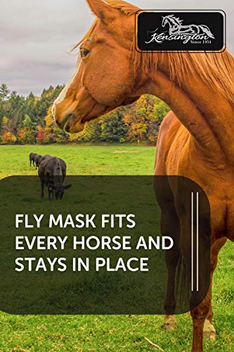 Kensington Fly Mask with Fleece Trim for Horses β Protects Face and Eyes from Flies and Sun Rays While Allowing Full Visibility β Breathable and Non Heat Transferring, Medium, Lavender Mint