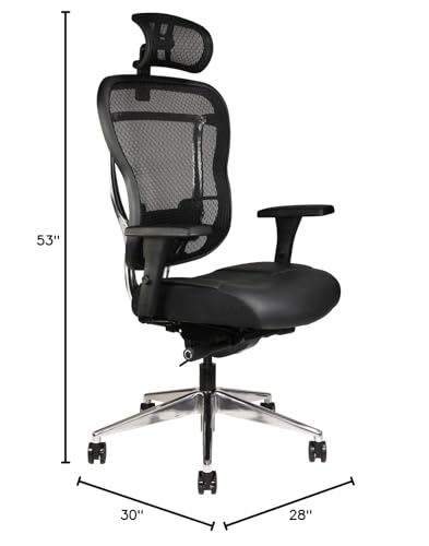 Oak Hollow Furniture Aloria Series Office Chair Ergonomic Executive Computer Chair Genuine Leather Seat Cushion, Mesh Back Adjustable Lumbar Support Swivel Tilt High-Back (Black, Tall, Headrest)